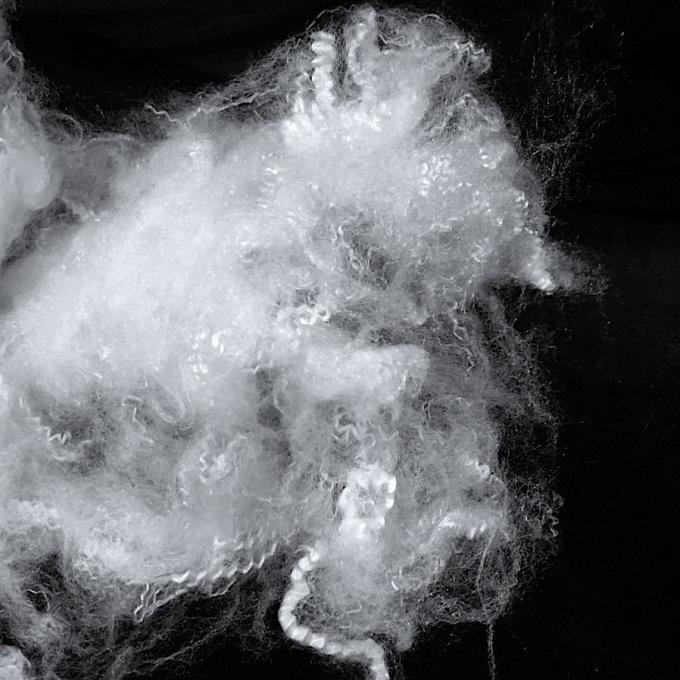 Virgin Material Fluffy PTT Bosilun Fiber Virgin A Grade Eco Friendly ...